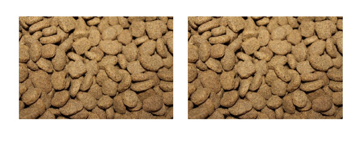 Two Sides To Kibble: Extruded vs. Baked – Bloggle